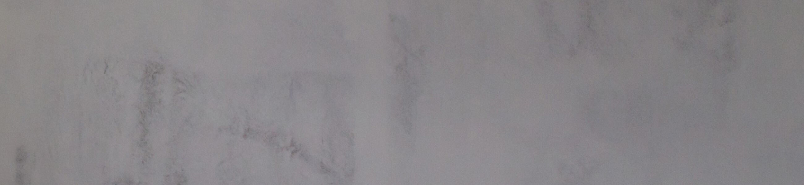 nippon-paint-anti-patchiness-solutions-header.jpg?v=1